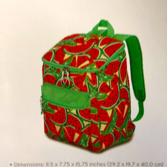 Other | Cooler Backpack Watermelon Design | Poshmark